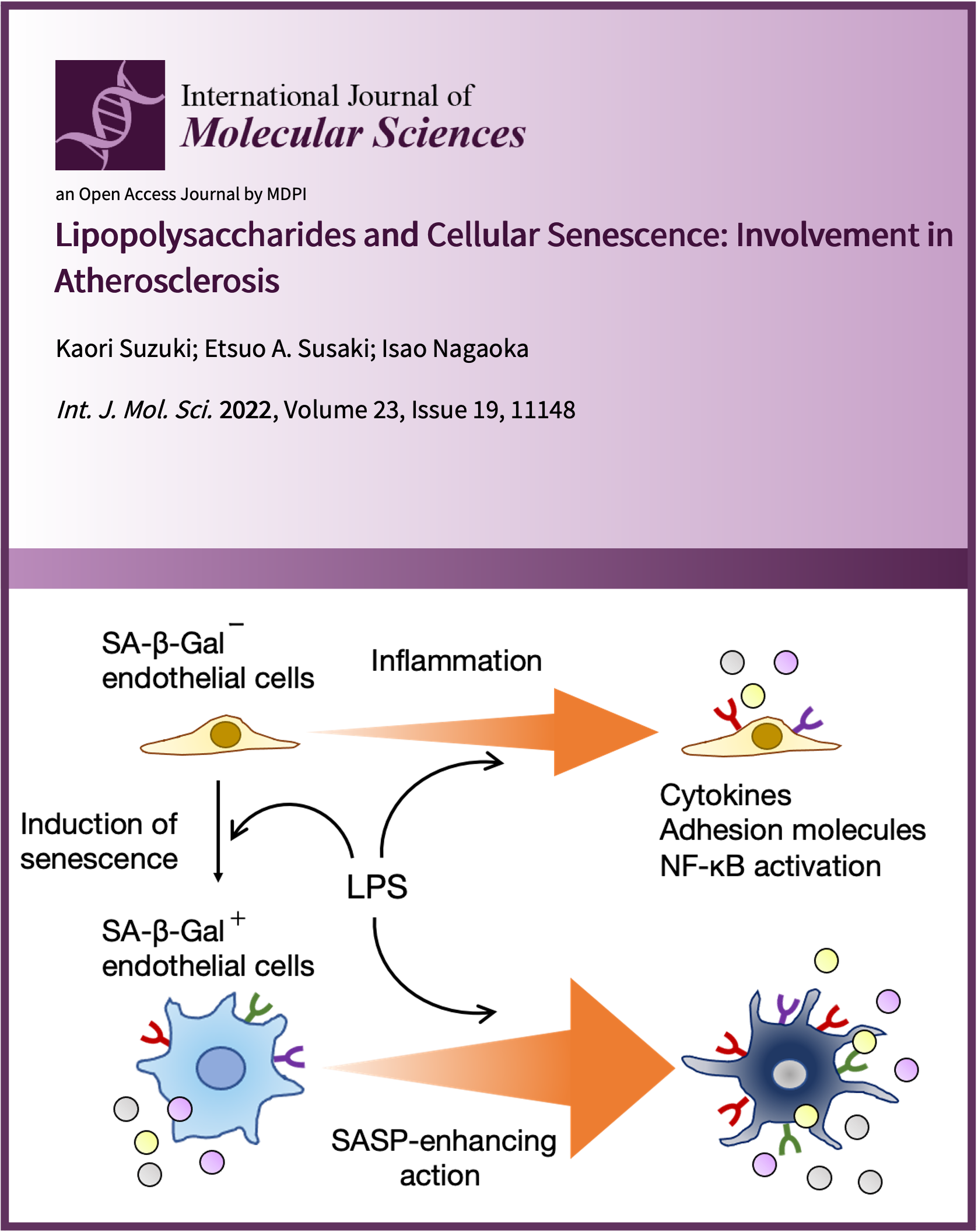 New publication at Int J Mol Sci – DBSB
